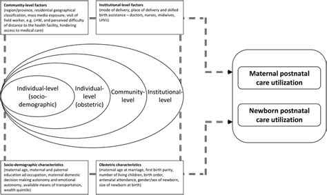 Hierarchical Conceptual Framework Of Maternal And Newborn Postnatal Download Scientific Diagram