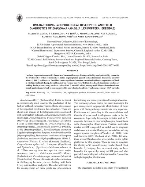 Pdf Dna Barcoding Morphological Description And Field Diagnostics Of Eublemma Amabilis