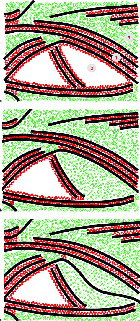 Schematic Representation Of The C−s−h Microstructure During Temperature