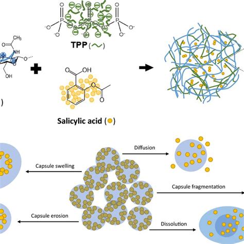General Processes Of Encapsulation And Release Of The Active Download Scientific Diagram