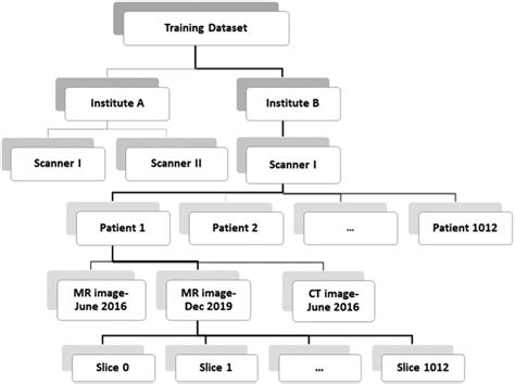 Depending On The Ultimate Task Of Deep Neural Network Pre Processing Download Scientific