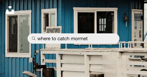 Where To Catch Mormet Pictures Download Free Images On Unsplash