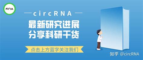 不容错过人工制备环状RNA的策略 知乎