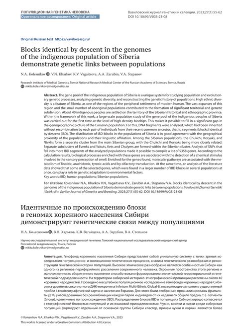 Pdf Blocks Identical By Descent In The Genomes Of The Indigenous