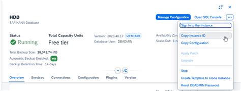 Sharing Sap Hana Cloud Instance To Multiple Subacc Sap Community