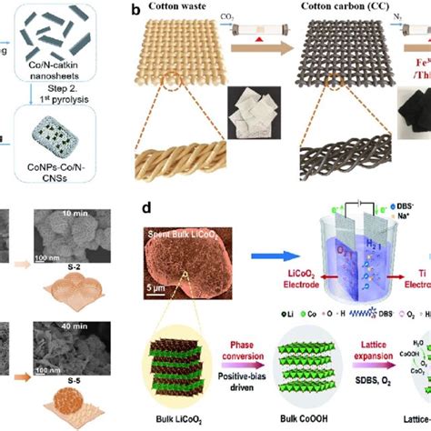 Schematic Diagram Of The Electrochemical Co2 Reduction Reaction System Download Scientific