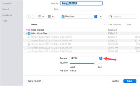 how to convert a jfif file to on windows or mac