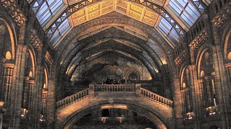 Thoughtworks And Aws To Help Natural History Museum Build A Data