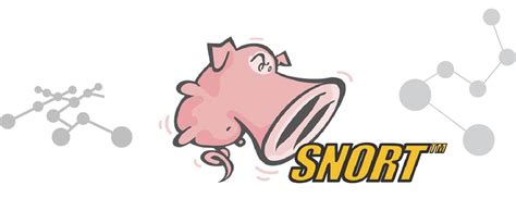 The Growing Popularity Of The Snort Network Ids