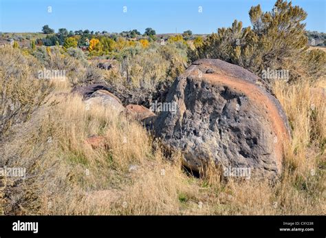 Melon Gravels Basalt Boulders Hagerman Wildlife Area Hagerman Idaho