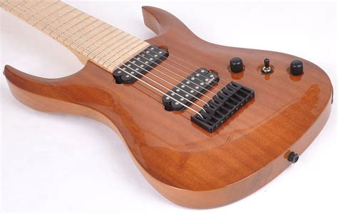 Guitar Leaks Agile Guitars