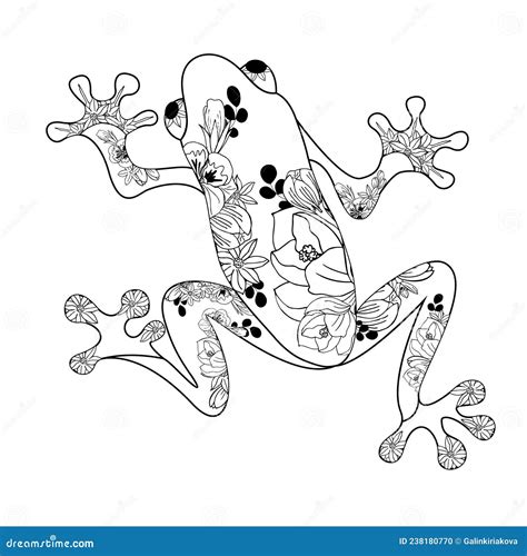 Frog Black Outline Frog Coloring Book For Adults Vector Illustration