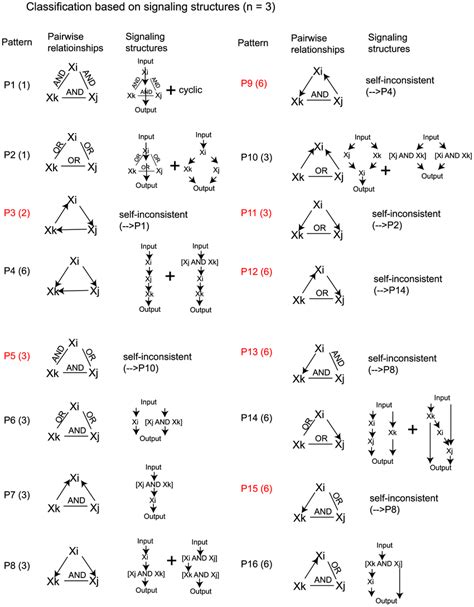 Three Node Boolean Ais Deletions Matrices And Signaling Arrow Diagram