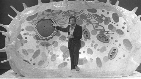 Jahre Gentechnik Kommt Jetzt Der Mensch Nach Ma