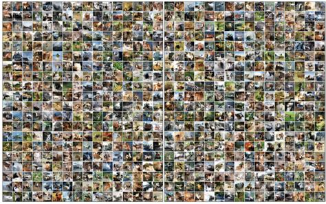 Random Samples From Vanilla Nvae Left And Magnet Nvae Right Trained Download Scientific