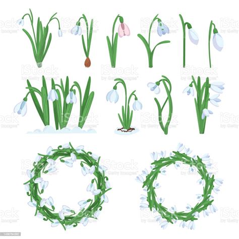 흰색으로 분리된 헌병 꽃과 화환 세트 봄 꽃이 피고 초대를 위한 꽃 디자인 요소 0명에 대한 스톡 벡터 아트 및 기타 이미지 0명 3월 갈란투스 Istock