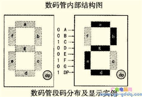 带小数点数码管的显示 数码管小数点的段码 csdn博客