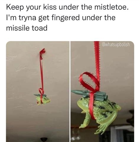 Fingered Under The Missile Toad Missile Toad Know Your Meme