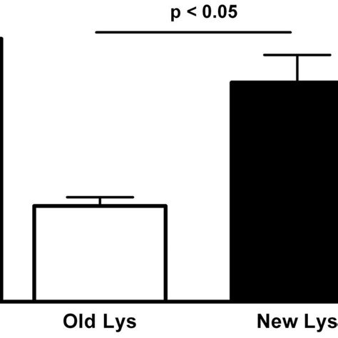 Lysate Protocol The Modified Lysate Protocol New Method Black Bar Download Scientific