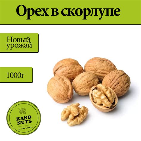 Грецкий орех в скорлупе купить на Ozon по низкой цене 1120663229