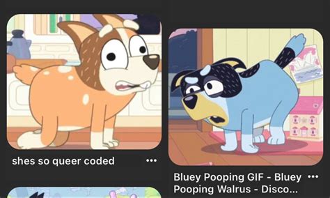 Bluey Pooping  Bluey Pooping Walrus Discover And Share S
