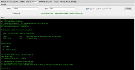 Webshell管理工具 冰蝎behinder的安装和基础使用msf联动流量特征冰蝎安装 Csdn博客