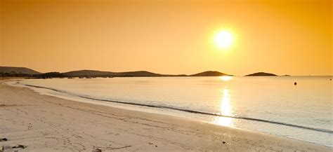 Propri T S De Prestige Lecci Barnes Corse