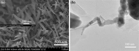 Sem Inset Higher Magnification And B Tem Of In2o3 Nanowires Download Scientific Diagram