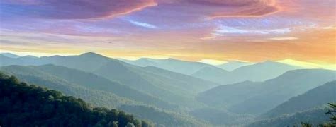 Bluegrass Festivals Bay Area Bluegrass Association