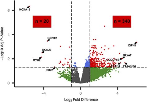 Muscle Transcriptomic Circuits Linked To Periarticular Physiology In
