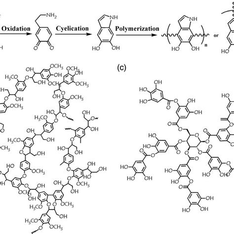 Three Kinds Of Sf Surface Coating Materials A Polydopamine B Alkali