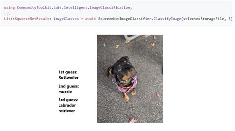 Announcing Windows Community Toolkit V7 1 Windows Developer Blog