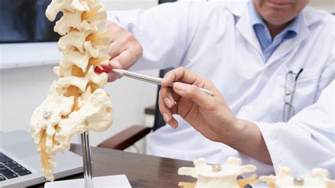 Protect Your Bones For Life How To Outsmart Osteoporosis And Stay Strong