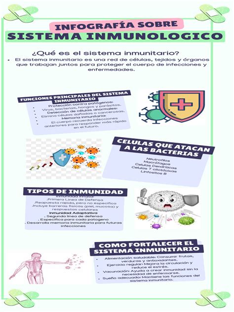 Infografia Sobre El Sistema Inmunologico Pdf Sistema Inmune Especialidades Medicas