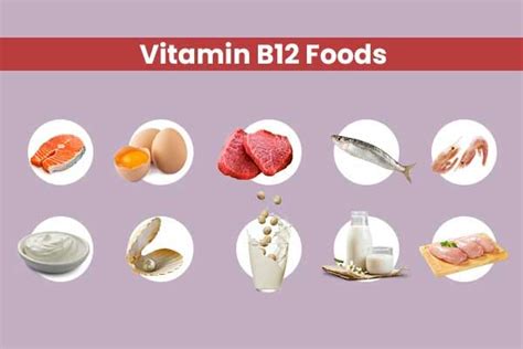 Vitamin B12 Food Sources