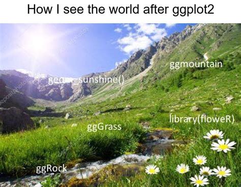 How You See The World On Ggplot2 Rrstatsmemes