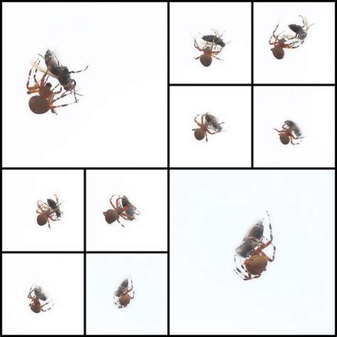 The Flickr Lounge Snacks Sue Thompson Flickr