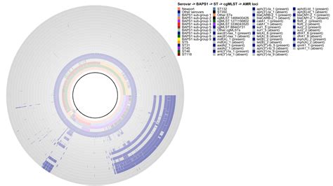 Heuristic Mining Of Hierarchical Genotypes And Accessory Genome Loci In