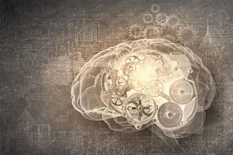 In The Classroom Metacognition Explained