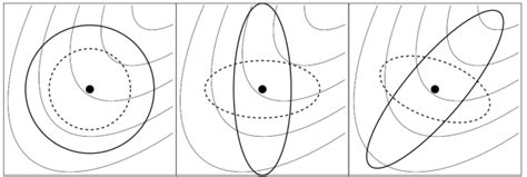 Different Distributions Given By The Same Mean Vector But Different
