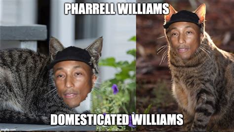 Pharrell Williams Meme Fans Believe Pharrell Williams Shaded Drake On
