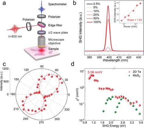 Shg Performance Of 2d Te A Schematics Of A Back‐reflection Shg