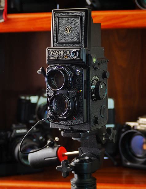 5 Photographs Taken With A Yashica Mat 124g In The Zócalo Of Mexico