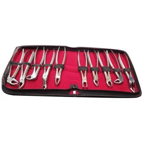 Stainless Steel Dental Extraction Forcep Kit At Rs 5500 Kit In New Delhi Id 2850534487162
