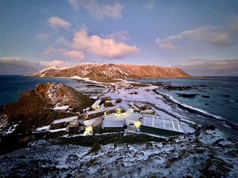 This Week At Macquarie Island 20 December 2024 Australian Antarctic