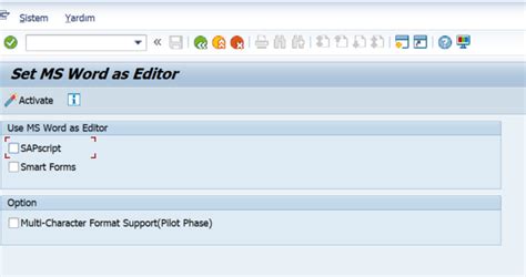 I Cannot Activate Use Ms Word As Editor Rscpset Sap Community