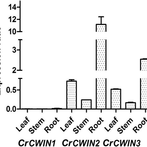 Tissue Specific Expression Pattern Of The Three Cwin Isoforms In Leaf Download Scientific