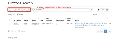 hive 操作iceberg hive iceberg查数据结果 csdn博客