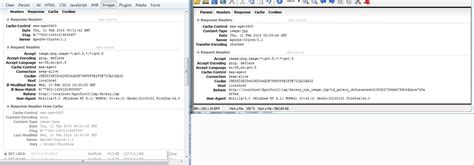 java caching image does not work despite response header has max age