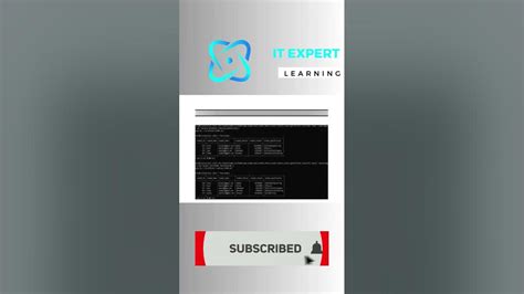 how to insert data in mysql itexpertlearning ytshorts viral shorts